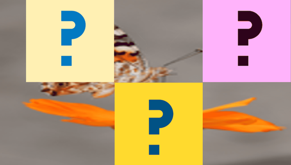 Butterfly Memory Match | 🕹️ Play Butterfly Memory Match Online On GamePix