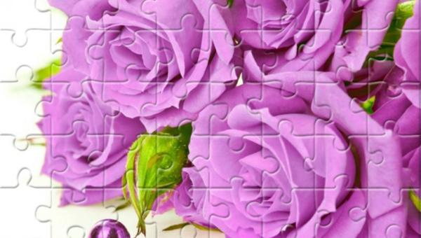 Purple Roses Puzzle | 🕹️ Play Purple Roses Puzzle Online On GamePix