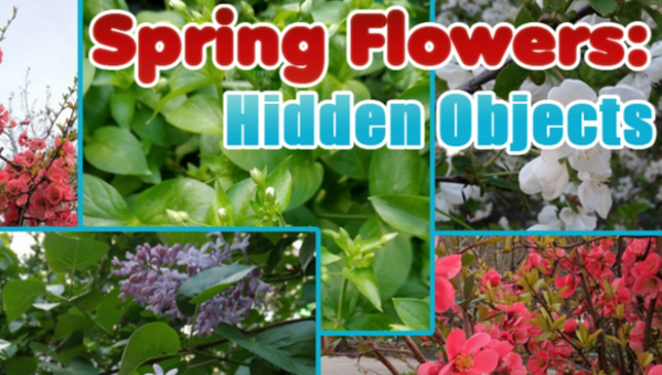 Spring Flowers: Hidden Objects | 🕹️ Play Spring Flowers: Hidden Objects ...